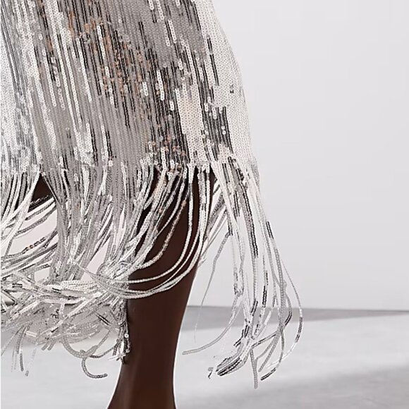 H&M | Skirts | Showstopper92s Flapper Style Silver Sequin Fringe Pencil ...